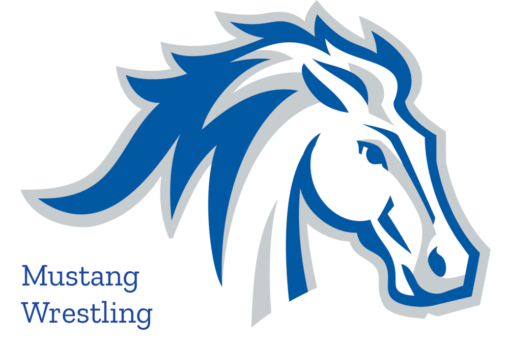 7AA Individual Wrestling Tournament - Live! | Mora Activities